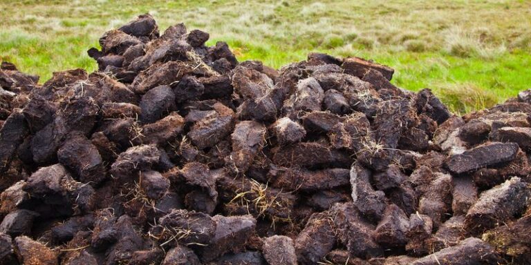 🍃 Turba: Qué es, Tipos, Características y Usos | DIMATERIA