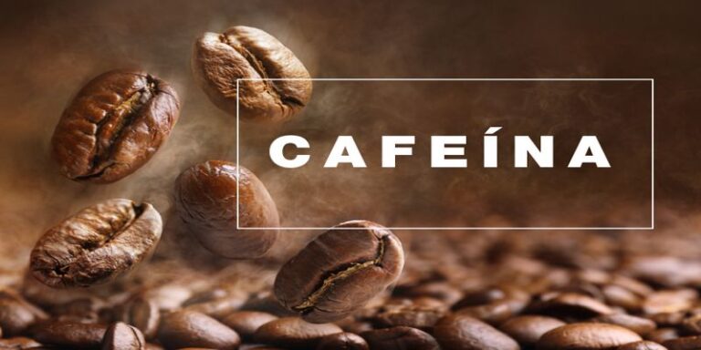 ☕ Cafeína: Composición y Beneficios | DIMATERIA.com